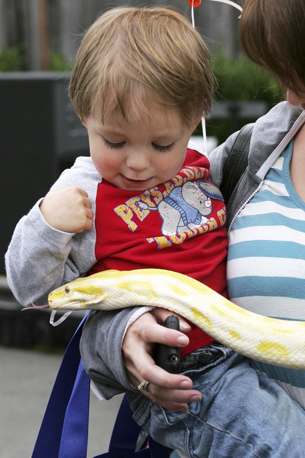 Covington Kid's Day | Slideshow | Covington-Maple Valley Reporter