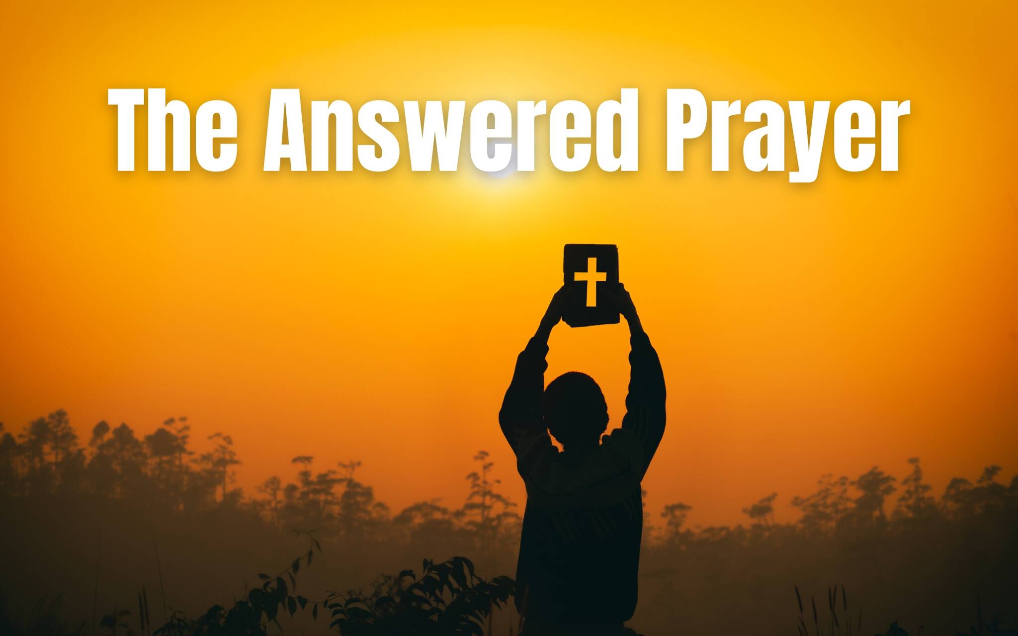 The Answered Prayer Review: The Secret Christian System to Manifesting ...